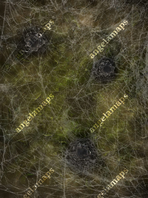 Spider Lair animated battle map with Foundry VTT support – Spooky ...